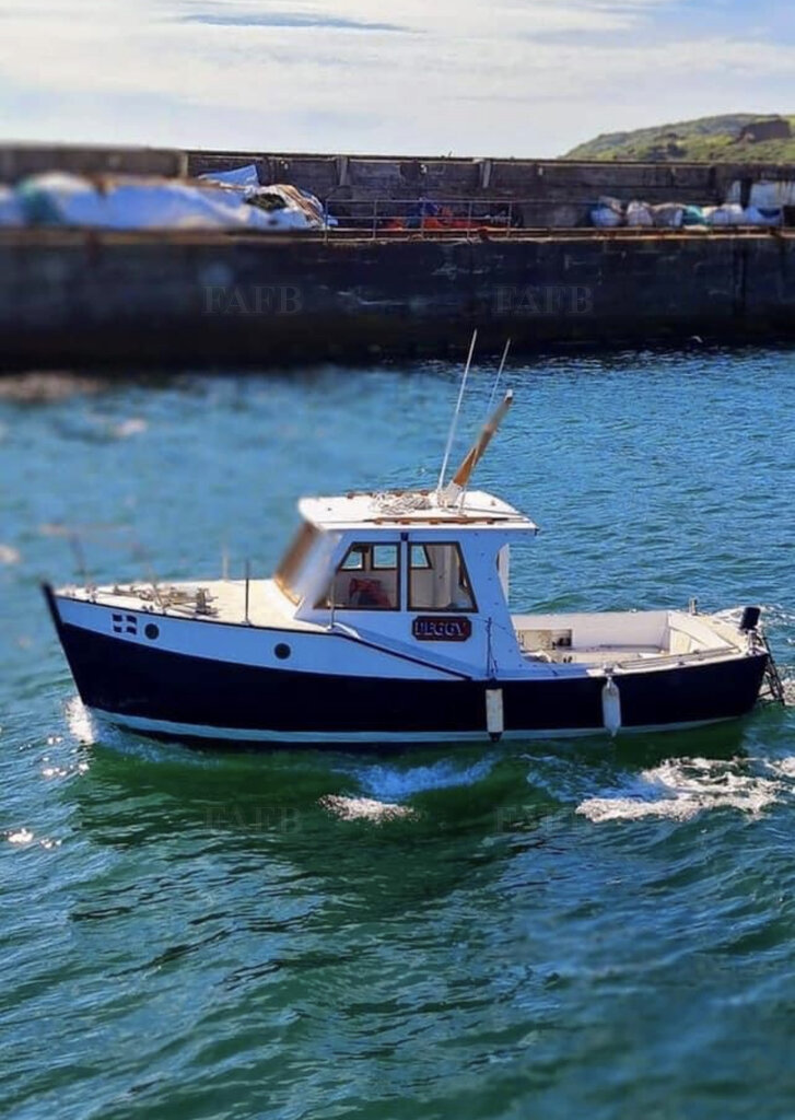 «previous Picture 1 of 9 next